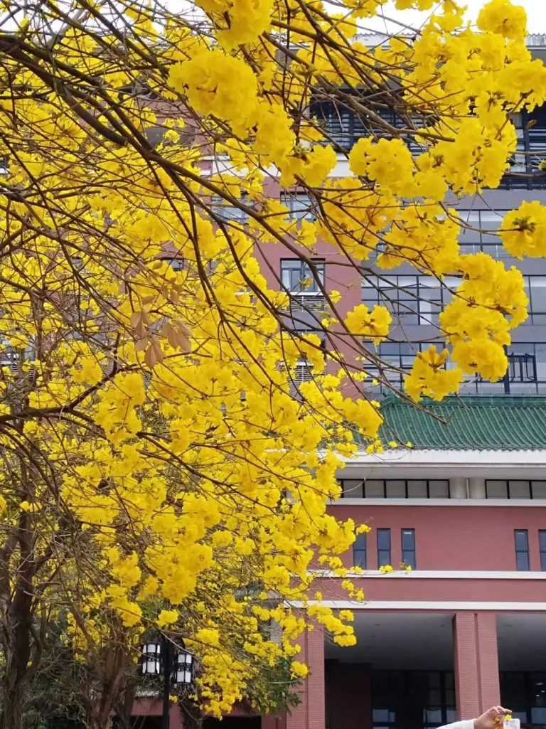 Outdoor photography spots in Guangzhou during autumn - 중국여행카